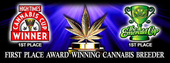 Big Dog Exotic Genetics - Buy High THC Exotic Cannabis Seeds Online ...